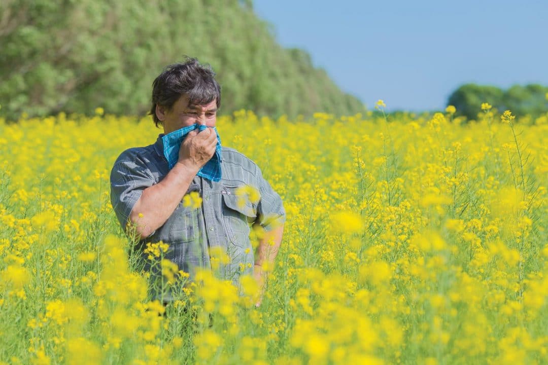Atchoo! 10 easy ways to ease your hay fever symptoms this Summer | Our ...